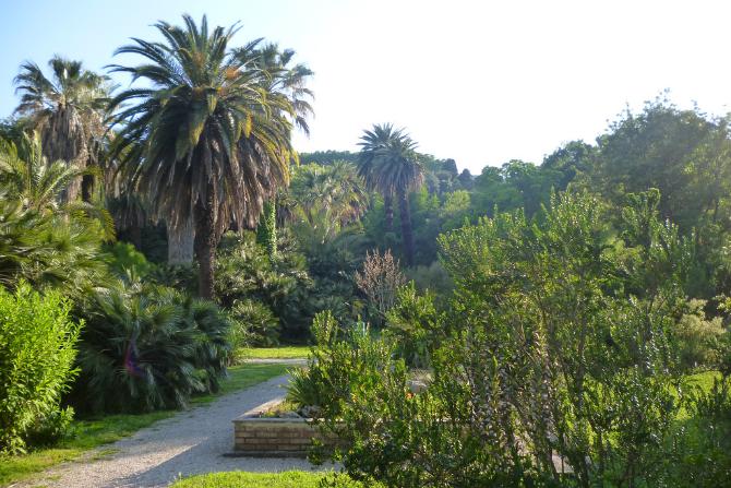 Orto Botanico in Rome | Visit A City