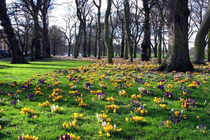 The Meadows in Edinburgh | Visit A City