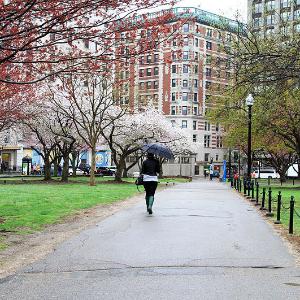 Visit Boston - Boston Trip Planning | Visit A City