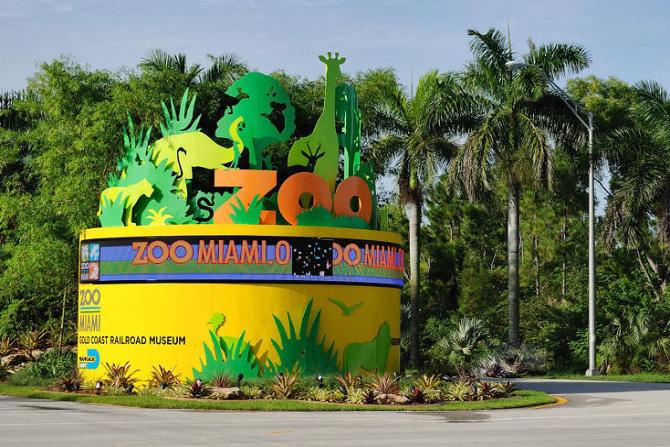 Zoo Miami in Miami | Visit A City