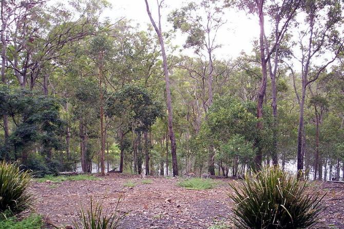 Walkabout Creek Discovery Center in Brisbane | Visit A City