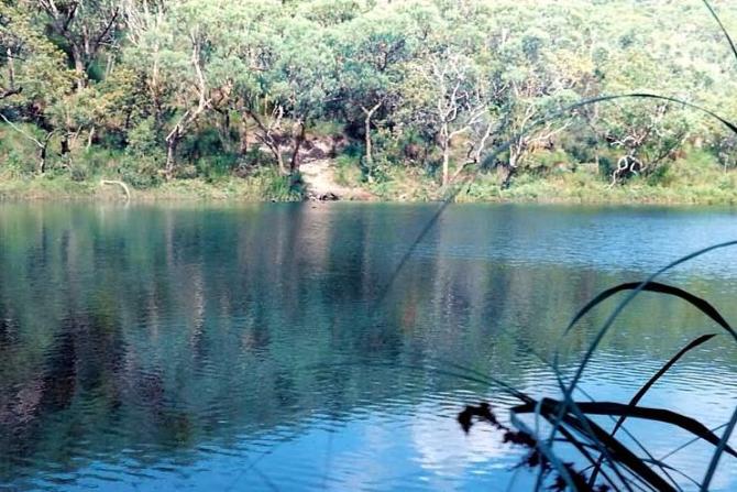 Blue Lake National Park on Stradbroke Island in Brisbane | Visit A City