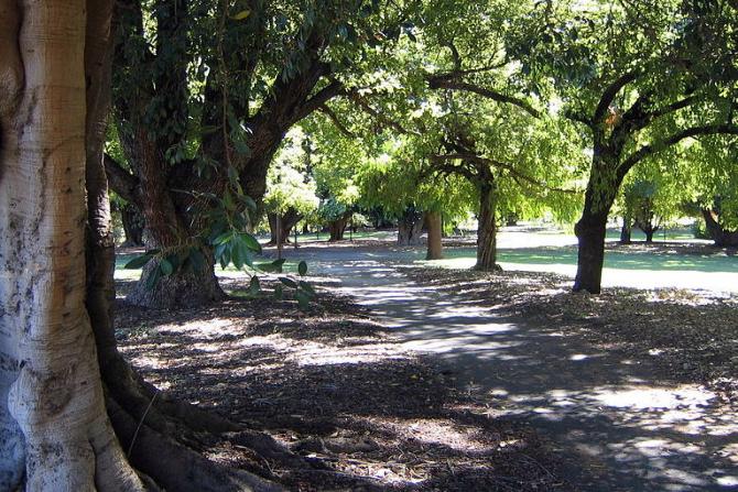 Hyde Park in Perth | Visit A City
