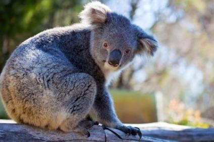 Perth in 4 Days - 4 Suggested Itineraries | Visit A City