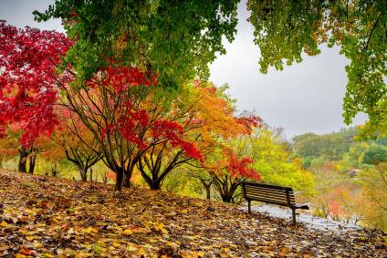 Best Time To Visit Adelaide | Visit A City