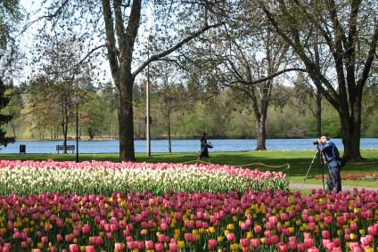 Dow's Lake in Ottawa | Visit A City