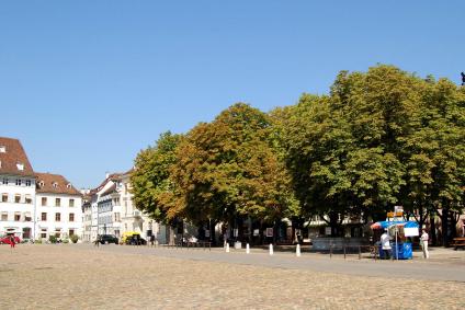 Munsterplatz in Basel | Visit A City