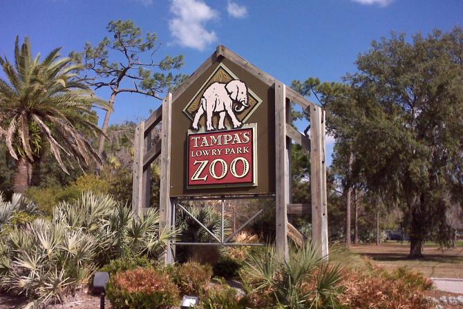 ZooTampa at Lowry Park in Tampa | Visit A City