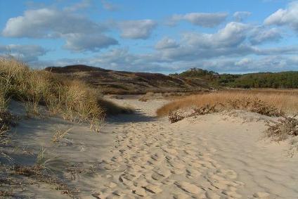 Great Island Trail in Cape Cod | Visit A City