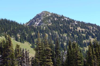 Sourdough Ridge Trail in Mount Rainier National Park | Visit A City