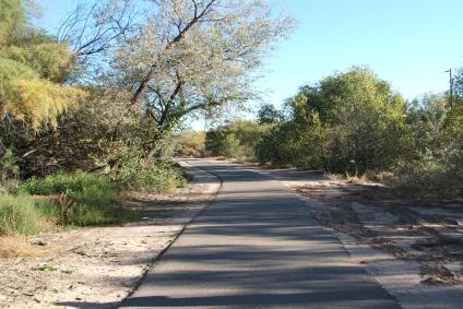 Paseo del Bosque Trail in Albuquerque | Visit A City