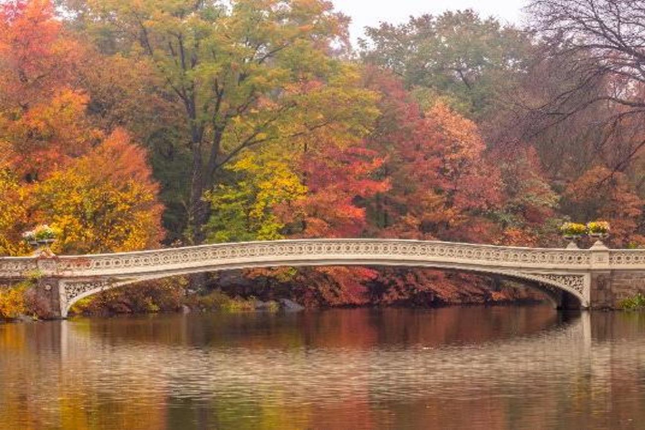Bow Bridge in New York City | Visit A City