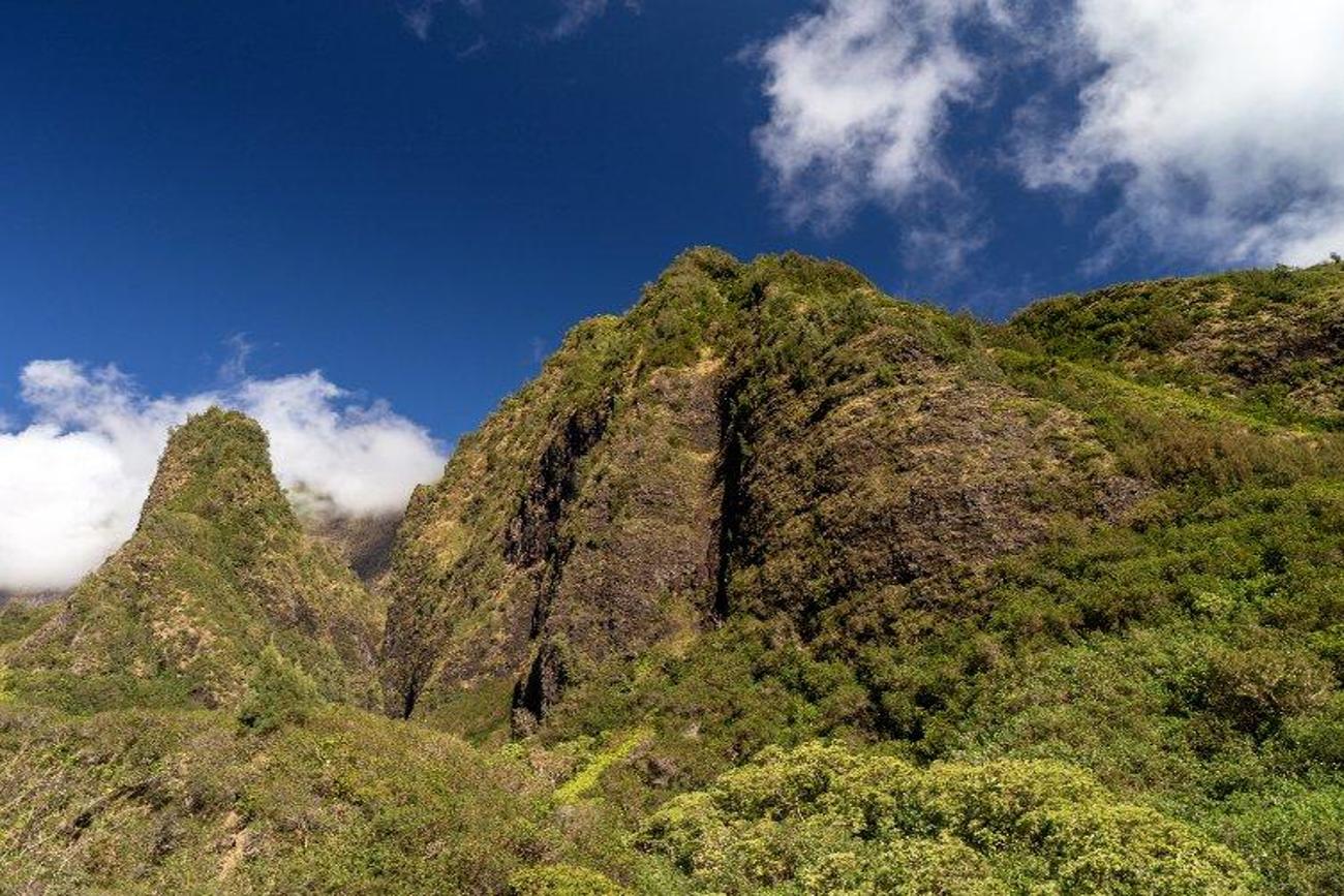 images/uploaded-new/656503