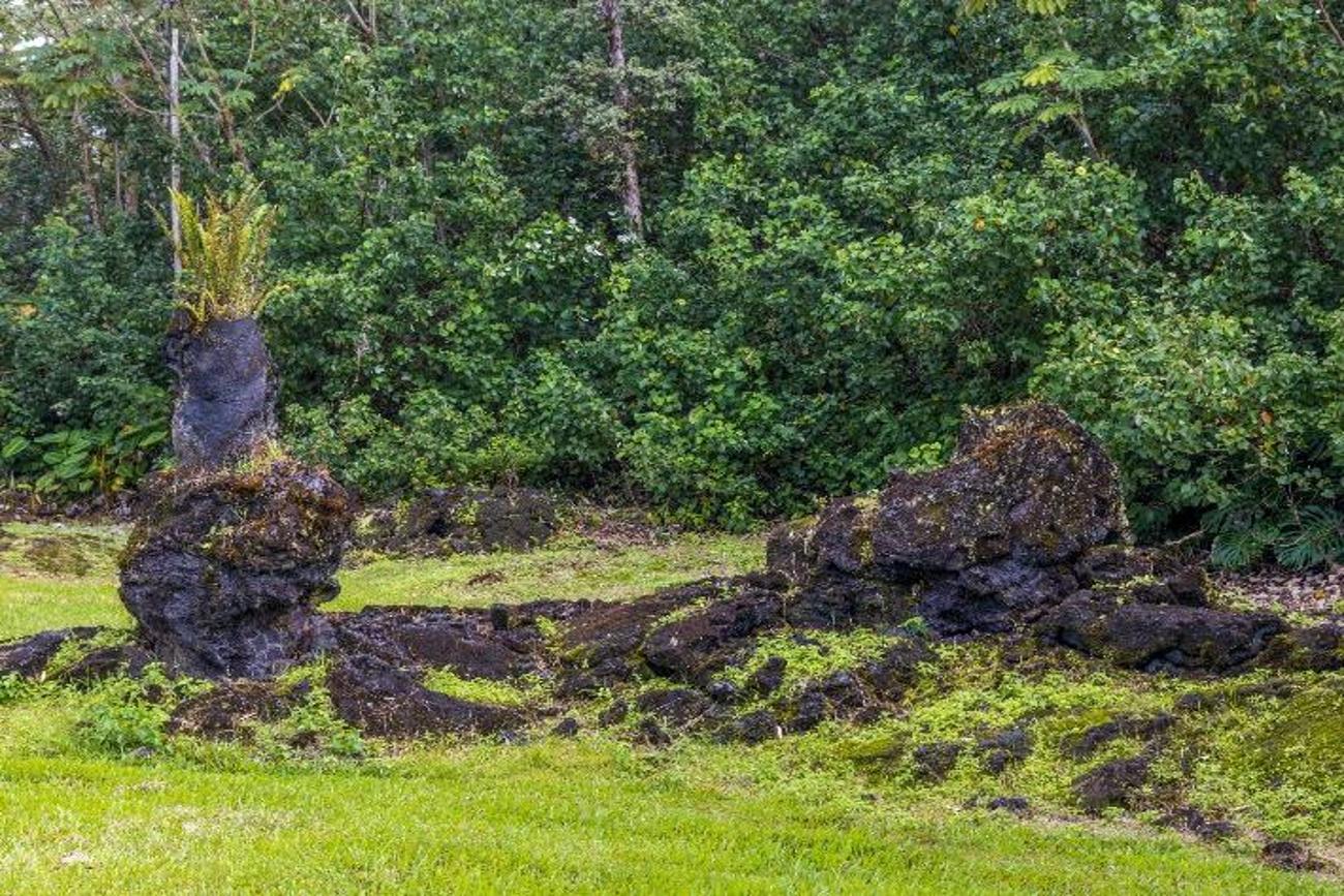 Lava Tree State Monument in Hawaii Big Island | Visit A City